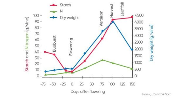 How to Help Grapevines Recover after a Difficult Frost Period | TIMAC ...