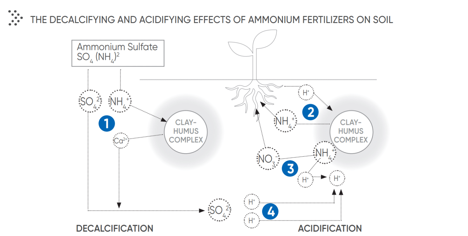 How do certain fertilizers impact soil pH? | TIMAC AGRO INTERNATIONAL