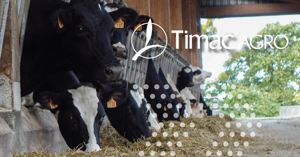 Animal Production | TIMAC AGRO INTERNATIONAL