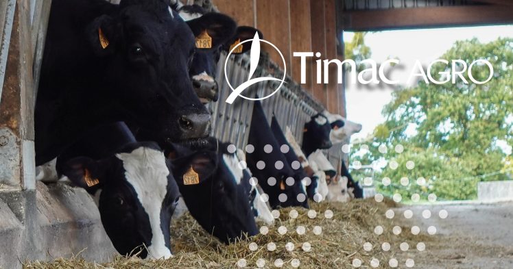 Animal Production | TIMAC AGRO INTERNATIONAL
