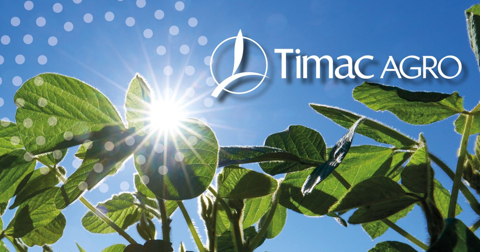 Plant Nutrition - TIMAC AGRO INTERNATIONAL