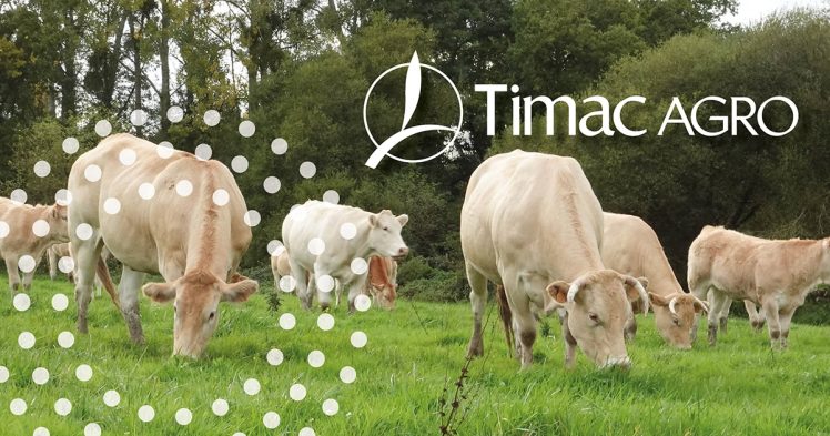 - TIMAC AGRO INTERNATIONAL