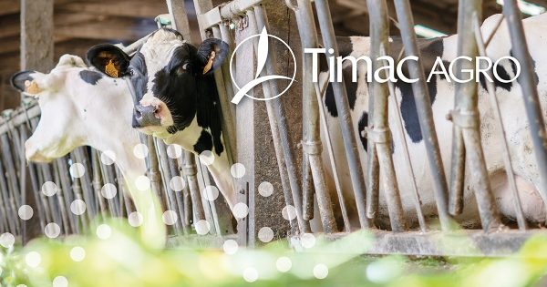 | TIMAC AGRO INTERNATIONAL