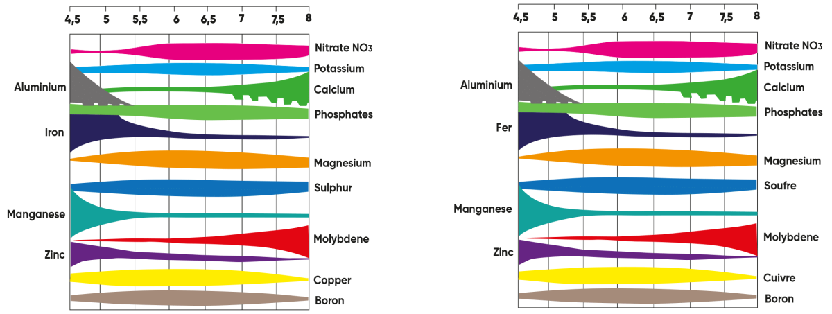 Why test and monitor your soil’s pH? | TIMAC AGRO INTERNATIONAL