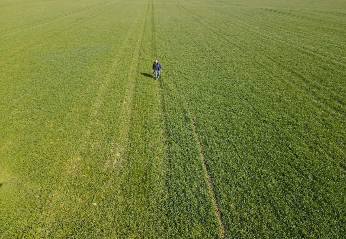 TIMAC AGRO INTERNATIONAL - Nutrition des Sols, Plantes et Animaux