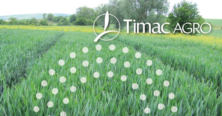 - TIMAC AGRO INTERNATIONAL