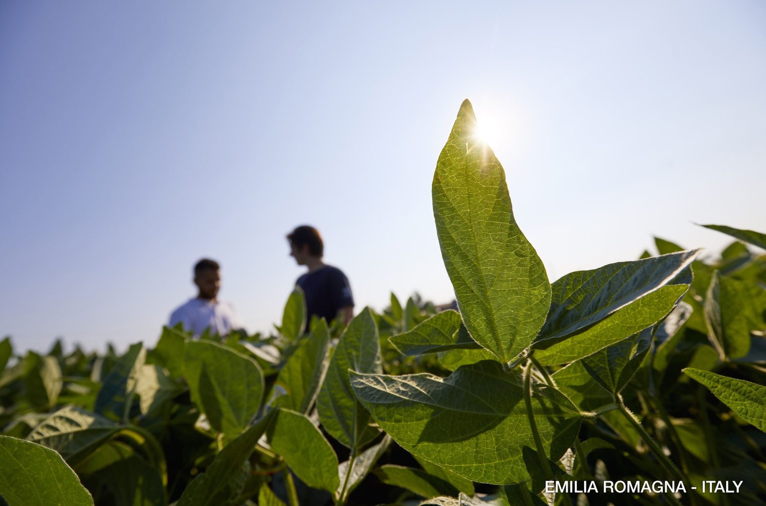 About us | TIMAC AGRO INTERNATIONAL