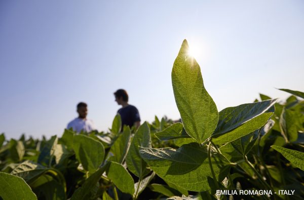 About us | TIMAC AGRO INTERNATIONAL