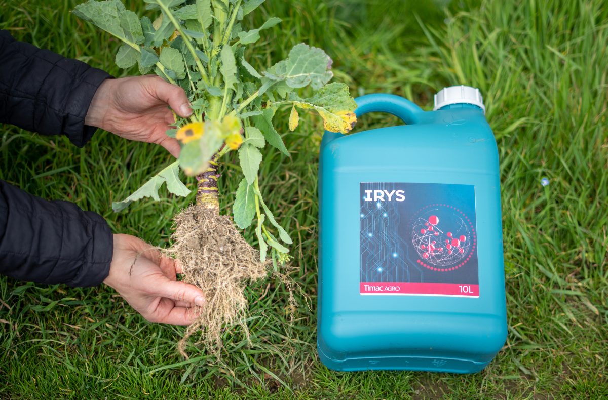 Our solutions | TIMAC AGRO INTERNATIONAL