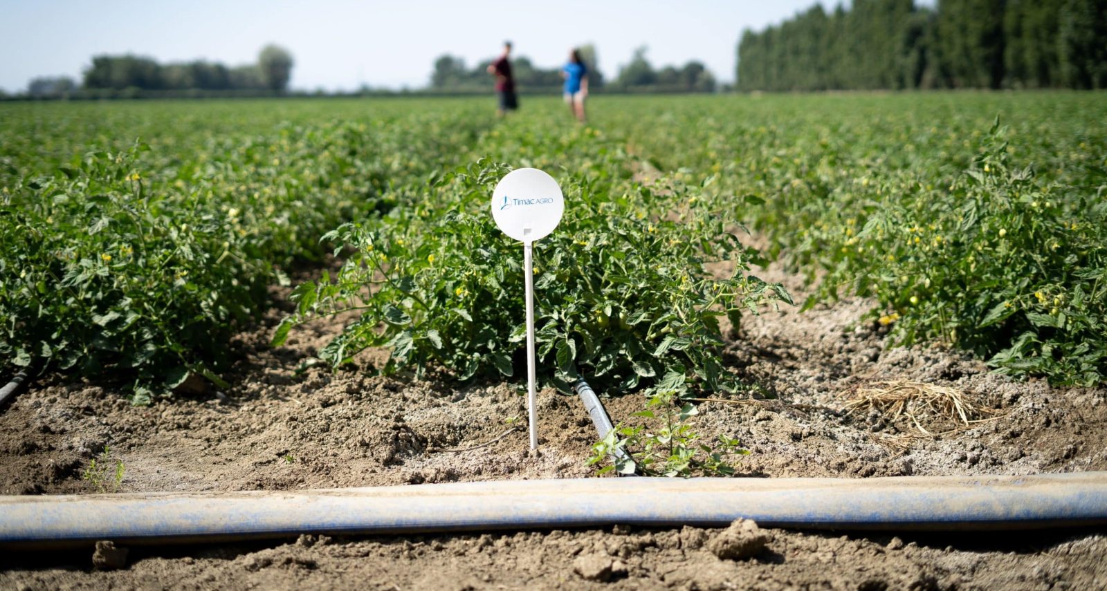 Plant Nutrition | TIMAC AGRO INTERNATIONAL