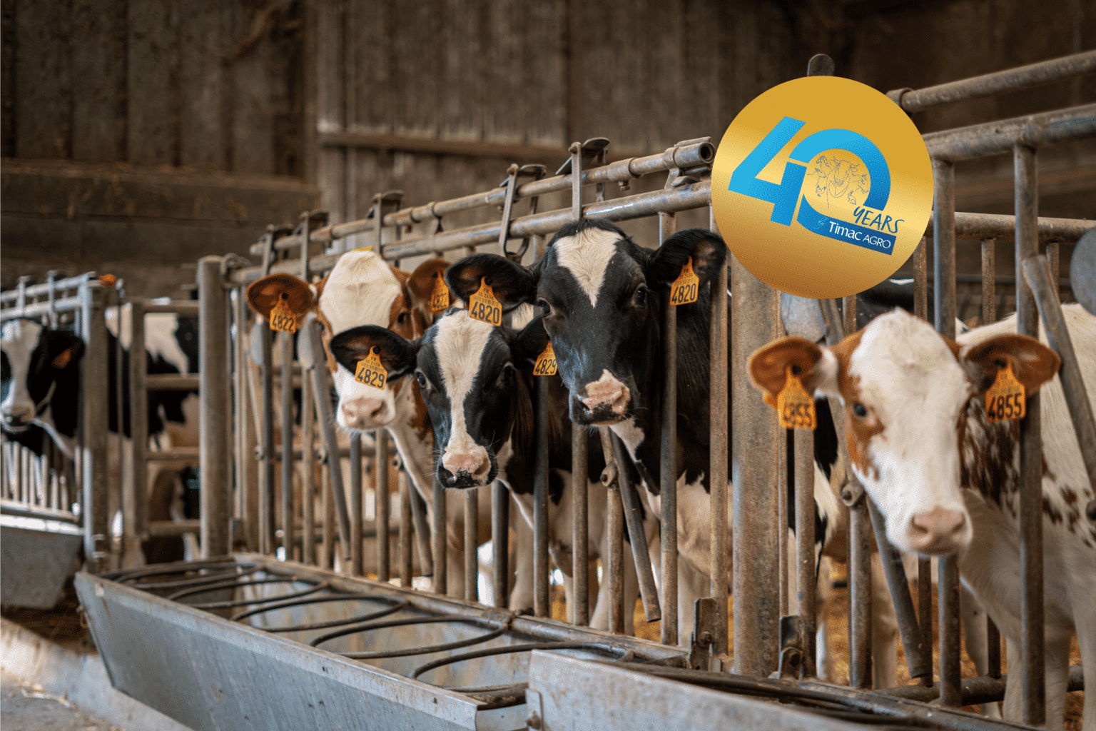 TIMAC AGRO INTERNATIONAL | Plant and Animal Nutrition