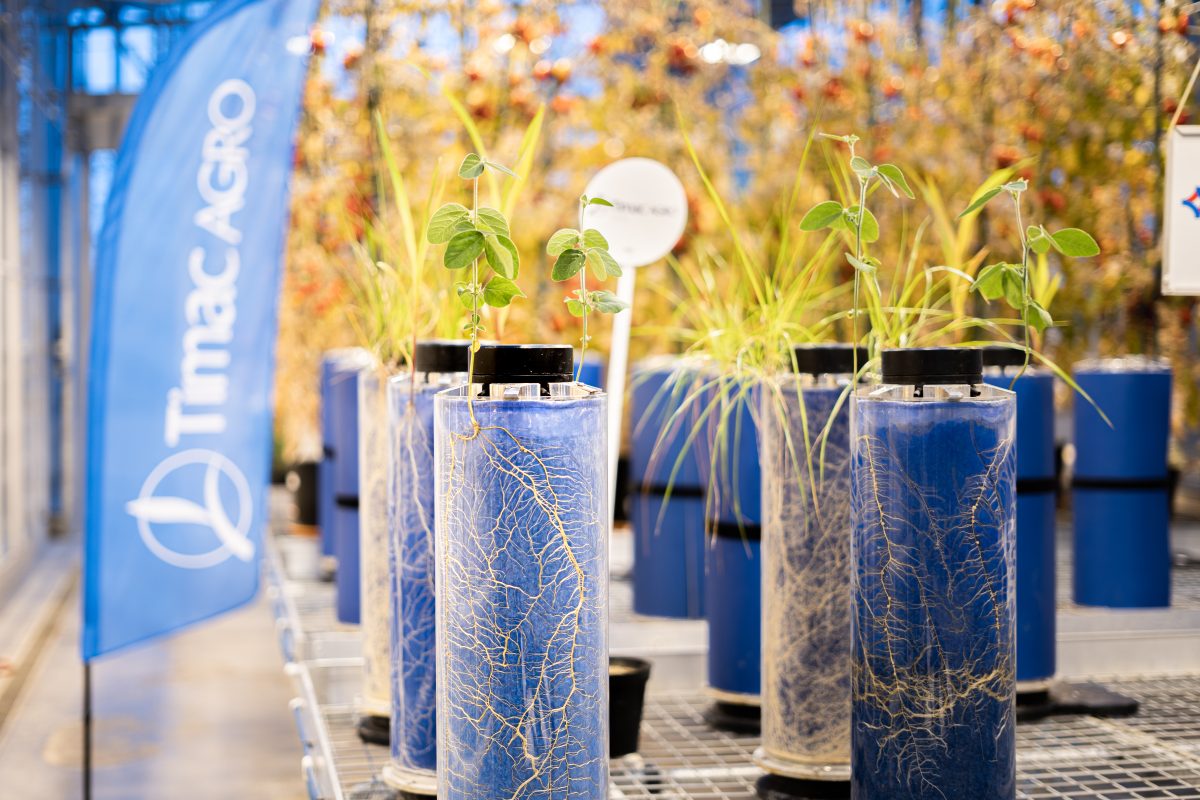 TIMAC AGRO INTERNATIONAL | Plant and Animal Nutrition