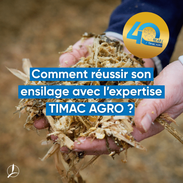 Les clés d’un ensilage réussi : conseils et expertise