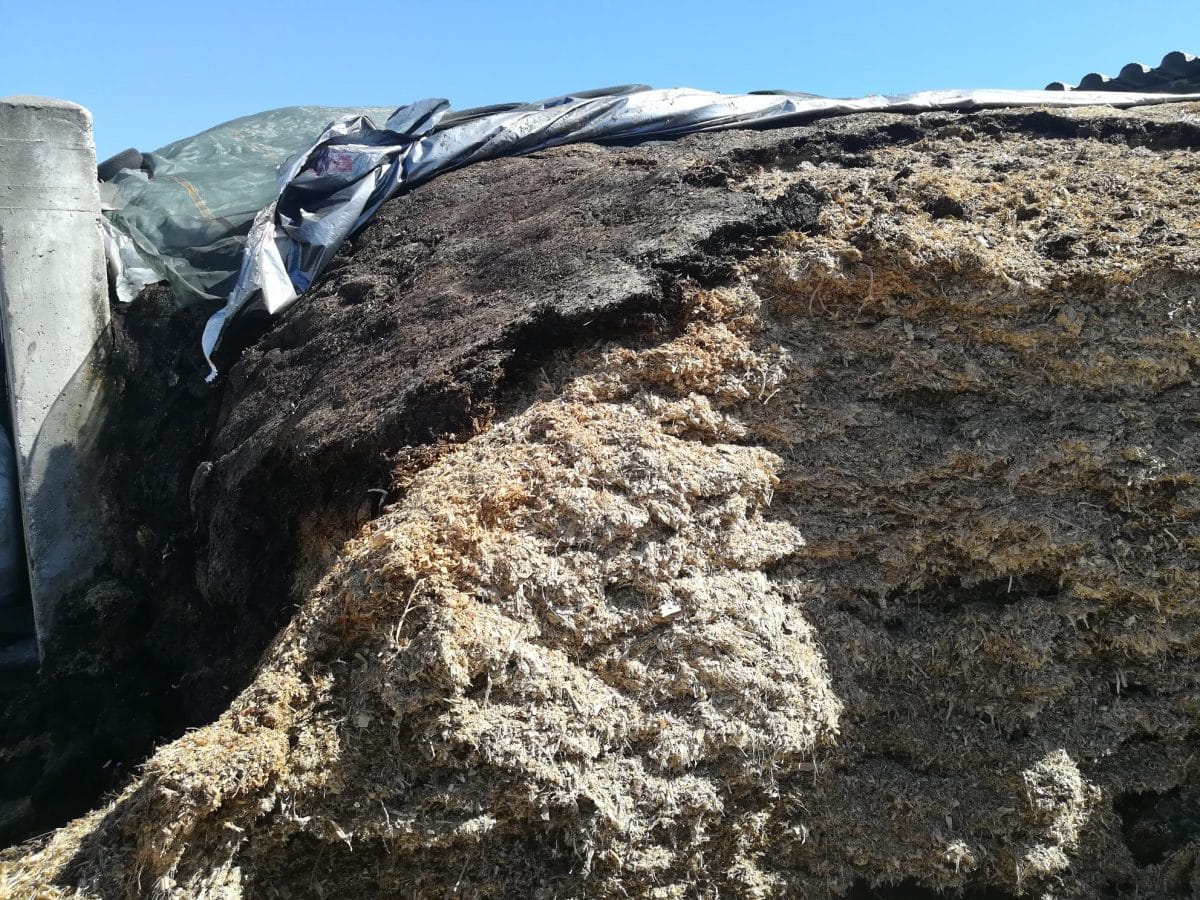 Optimierung der Silage für eine optimale Futterkonservierung