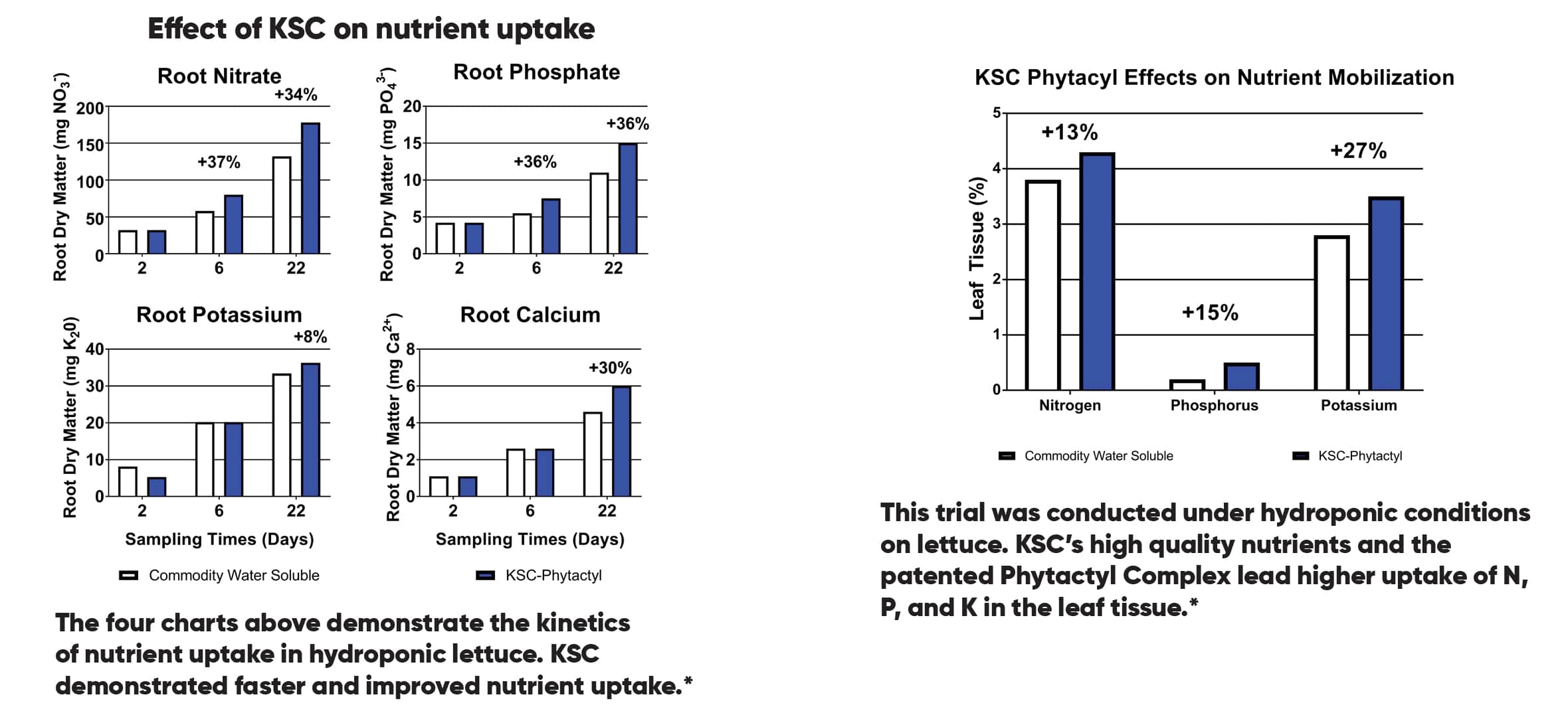 Fertigation with KSC: High-Performance Production