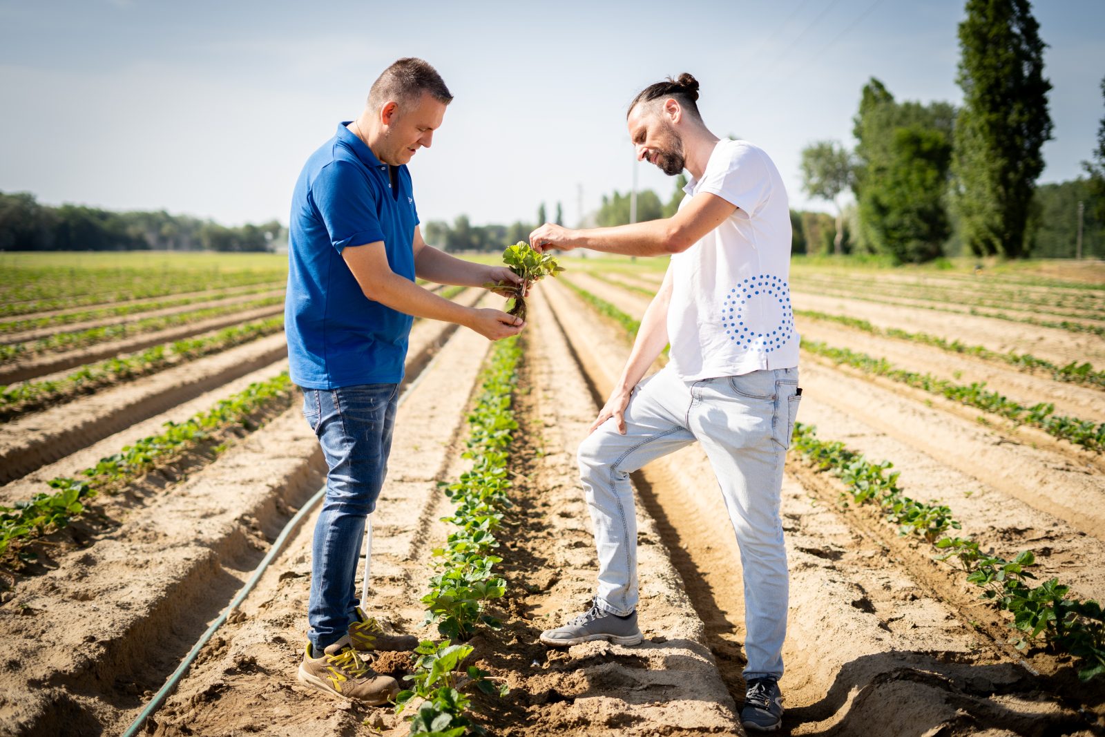 TIMAC AGRO USA – Sustainable Fertilizer & Crop Nutrition