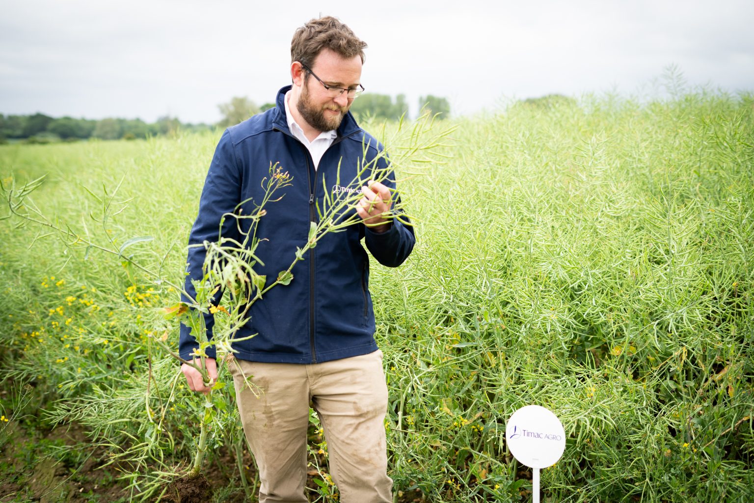 Agronomic solutions - TIMAC AGRO UK