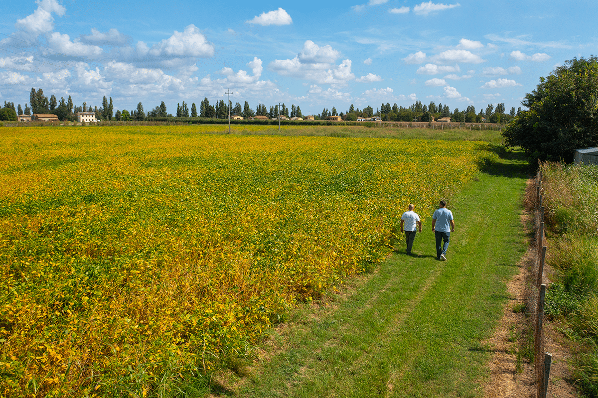 Produttori di Fertilizzanti e Biostimolanti – TIMAC AGRO Italia