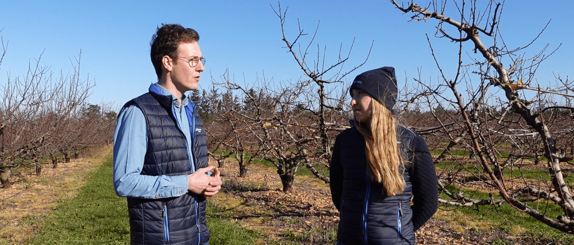 MINACTIV PPK : Stimulation microbienne - Granulé | TIMAC AGRO France