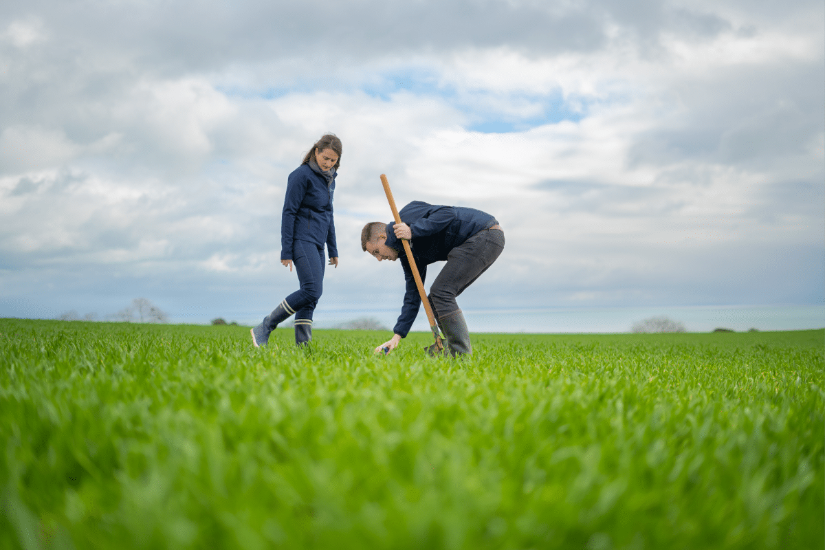 À propos de nous | TIMAC AGRO France