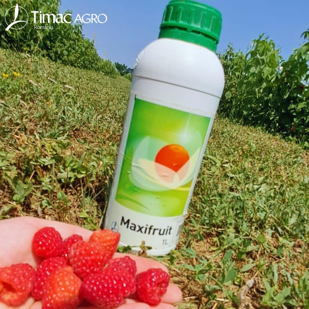 Biostimulatorii Timac Agro pentru performanța culturilor horticole ...
