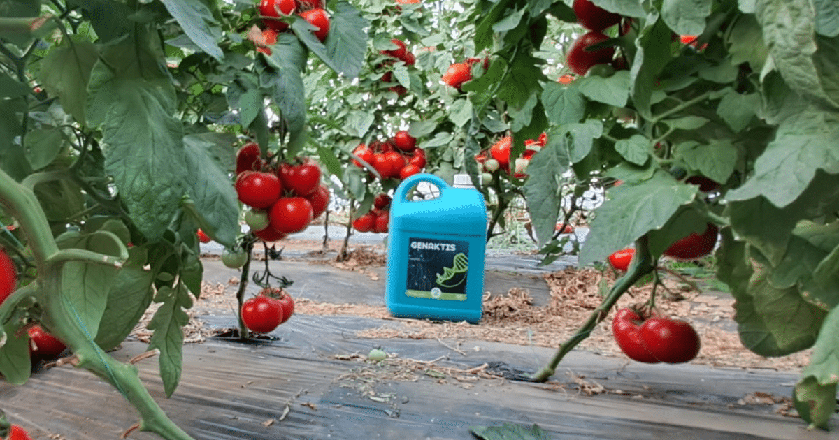 Biostimulatorii Timac Agro pentru performanța culturilor horticole ...